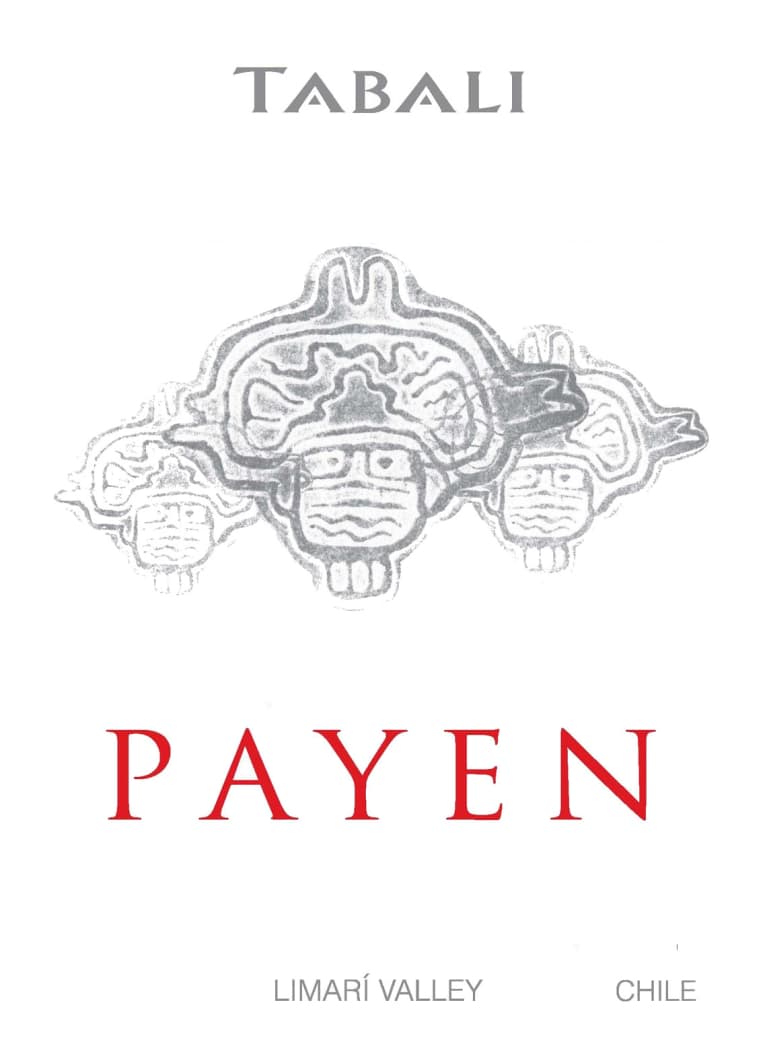 Tabali Payen 2009 | Wine.com