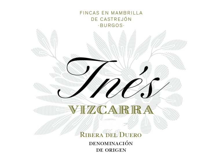 Vizcarra Ines Tinto 2019 | Wine.com