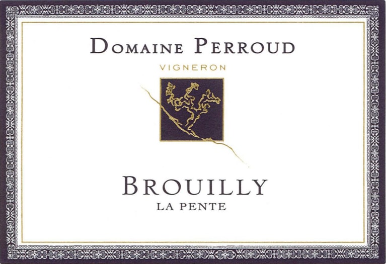 Domaine Perroud Brouilly La Pente 2020 | Wine.com