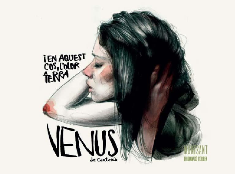 Venus La Universal Venus de Cartoixa Blanco 2019 | Wine.com