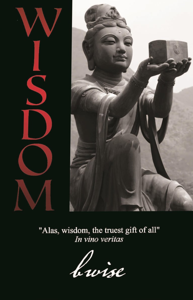 B Wise Vineyards Wisdom Red 2013 | Wine.com