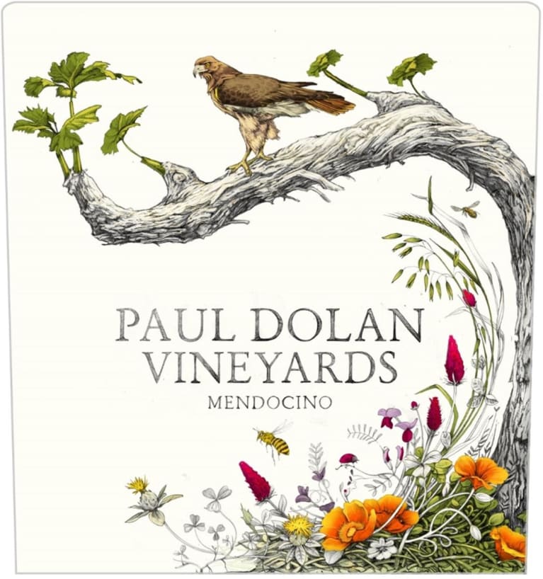 Paul Dolan Vineyards Organically Grown Cabernet Sauvignon 2021 | Wine.com