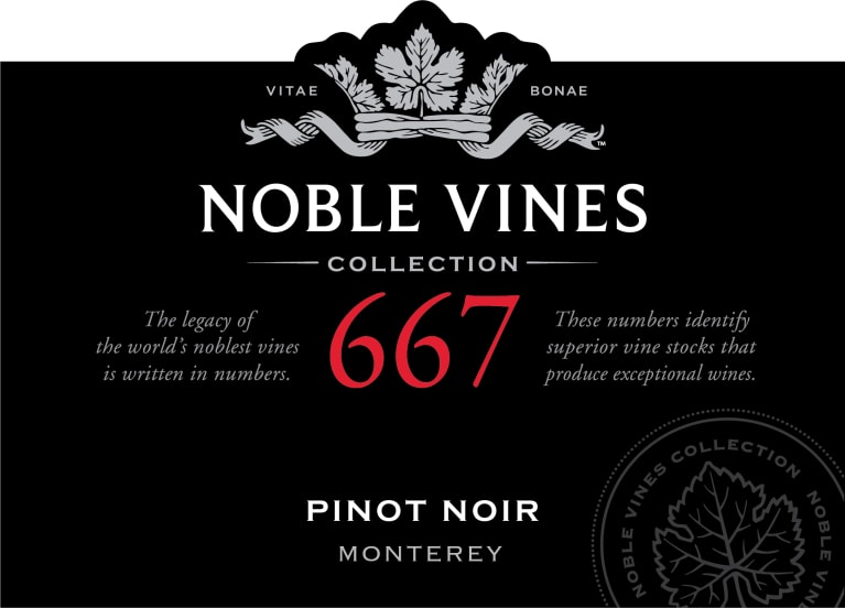 Noble Vines 667 Pinot Noir 2020 | Wine.com