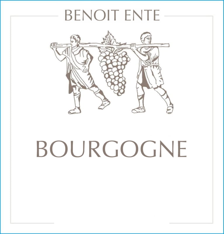 Benoit Ente Bourgogne Blanc 2020 | Wine.com