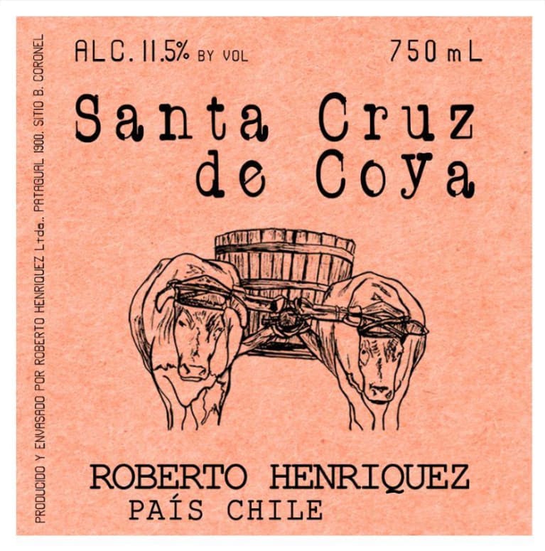 Roberto Henriquez Santa Cruz de Coya 2021 | Wine.com