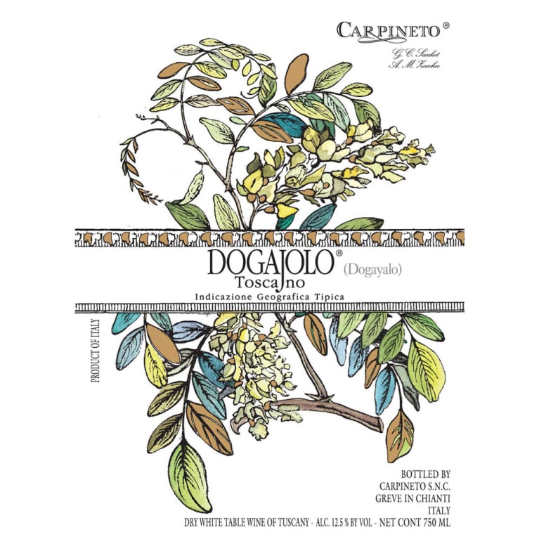 Carpineto Dogajolo Bianco 2020 | Wine.com