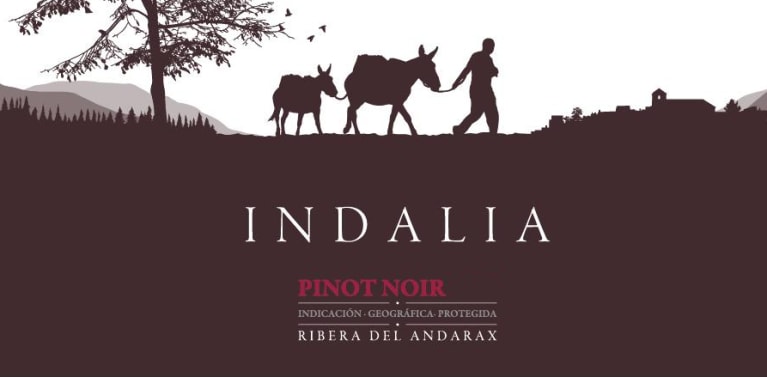Pagos de Indalia Indalia Pinot Noir 2014 | Wine.com
