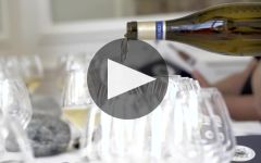 Simonnet-Febvre Cremant de Bourgogne Rose | Wine.com